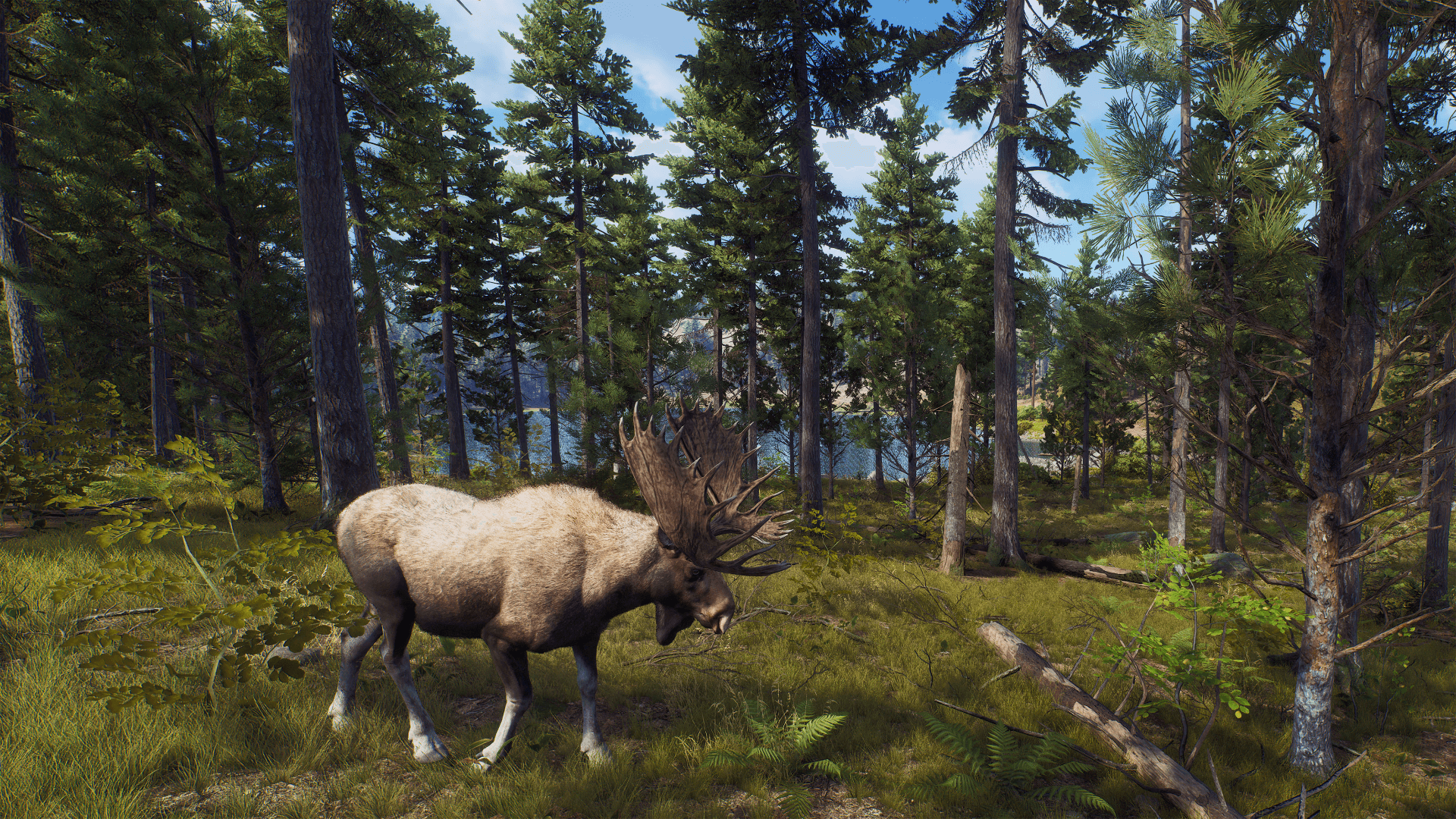 Way of the Hunter – Official Game Site