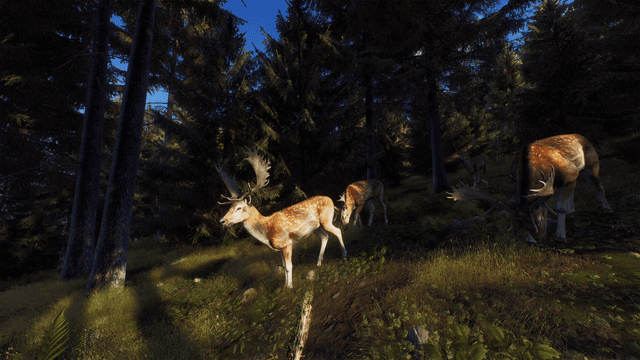 Way of the Hunter – Official Game Site